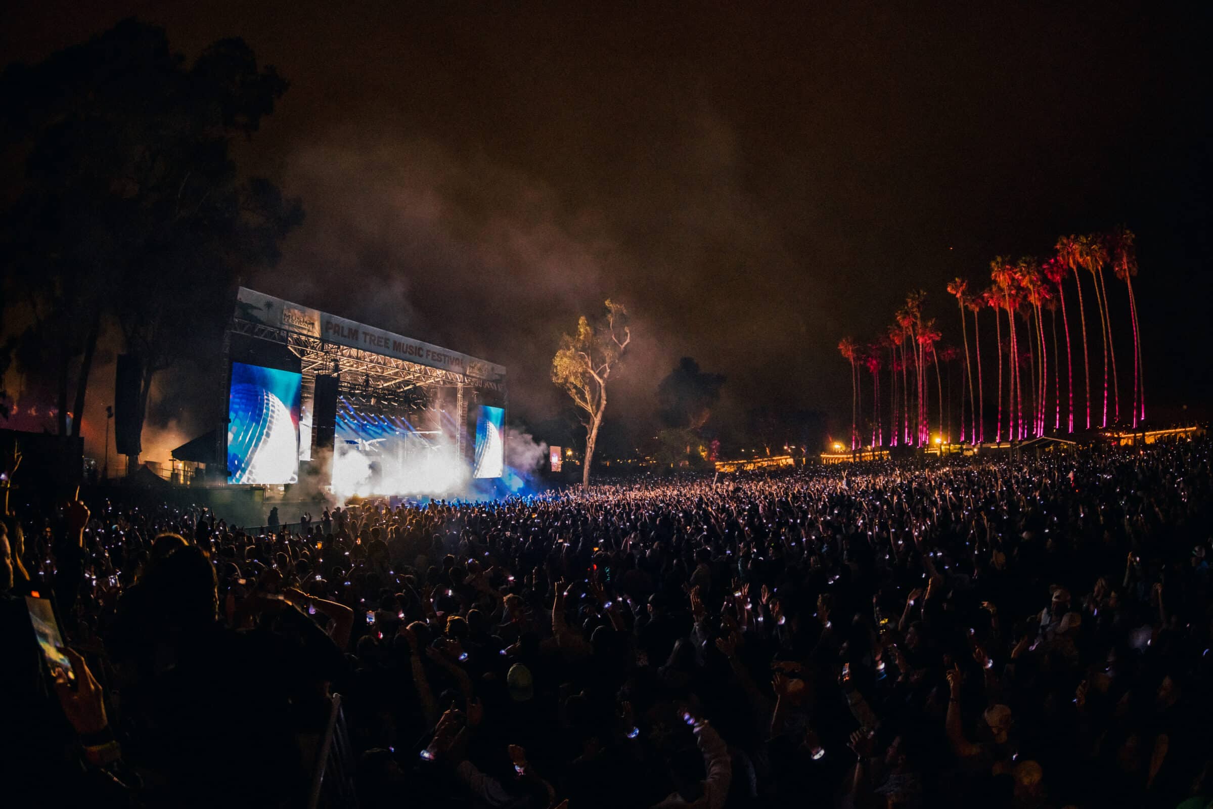 Events - Palm Tree Music Festival